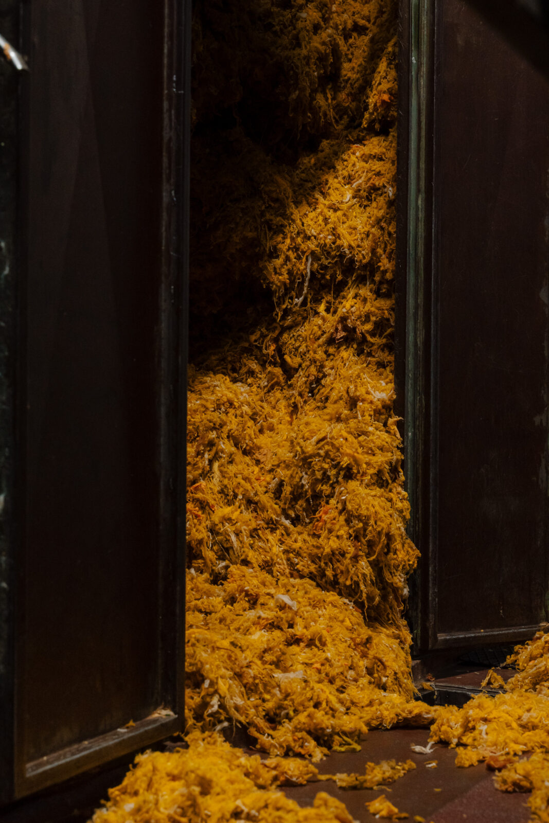 Wools | Designtex